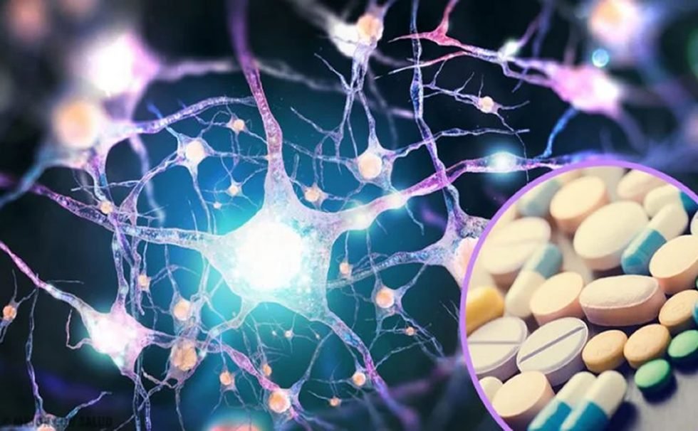 Conoce como funcionan los neurotransmisores