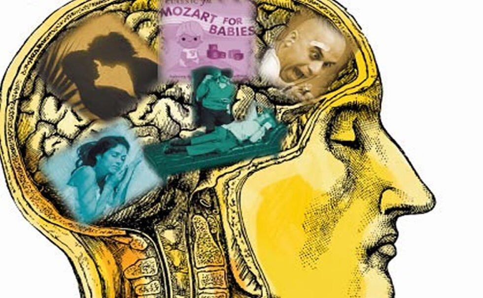 ¿Cómo explica la motivación la teoría del instinto?